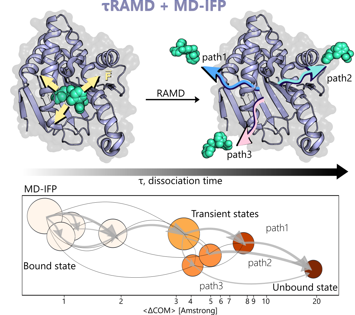τRAMD - Berechnung von Protein-Ligand-Dissoziationsraten und ...