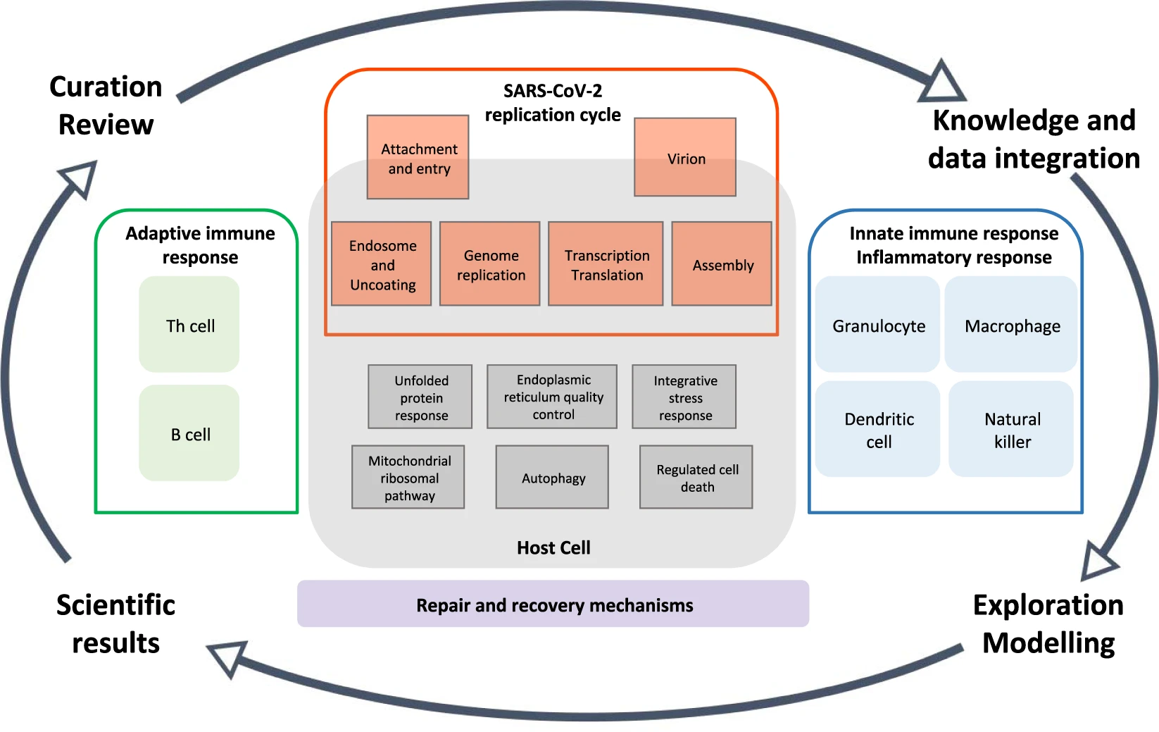 ELIXIR facilitates development of COVID-19 Disease Map - HITS