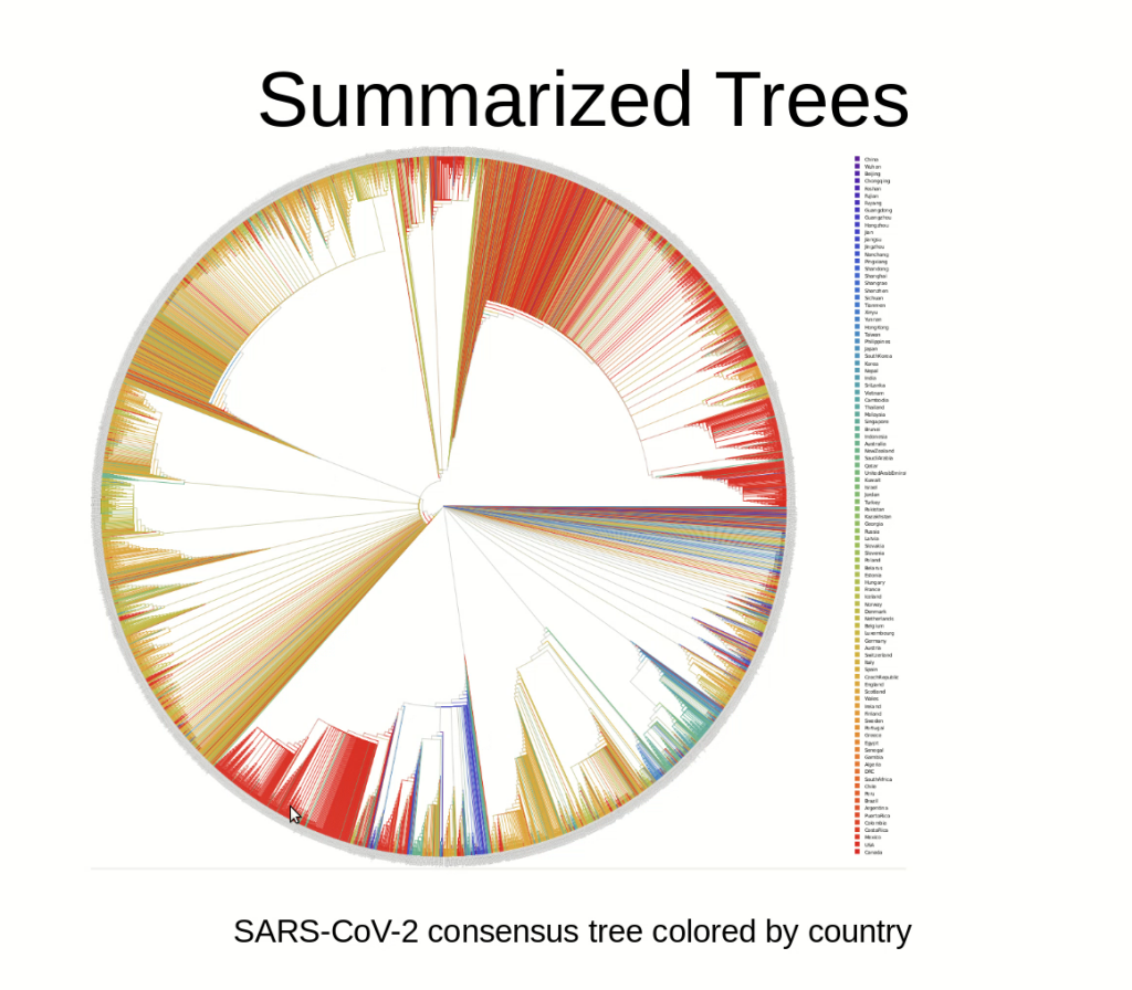 A difficult task: Phylogenetic analysis of SARS-CoV-2 data - HITS