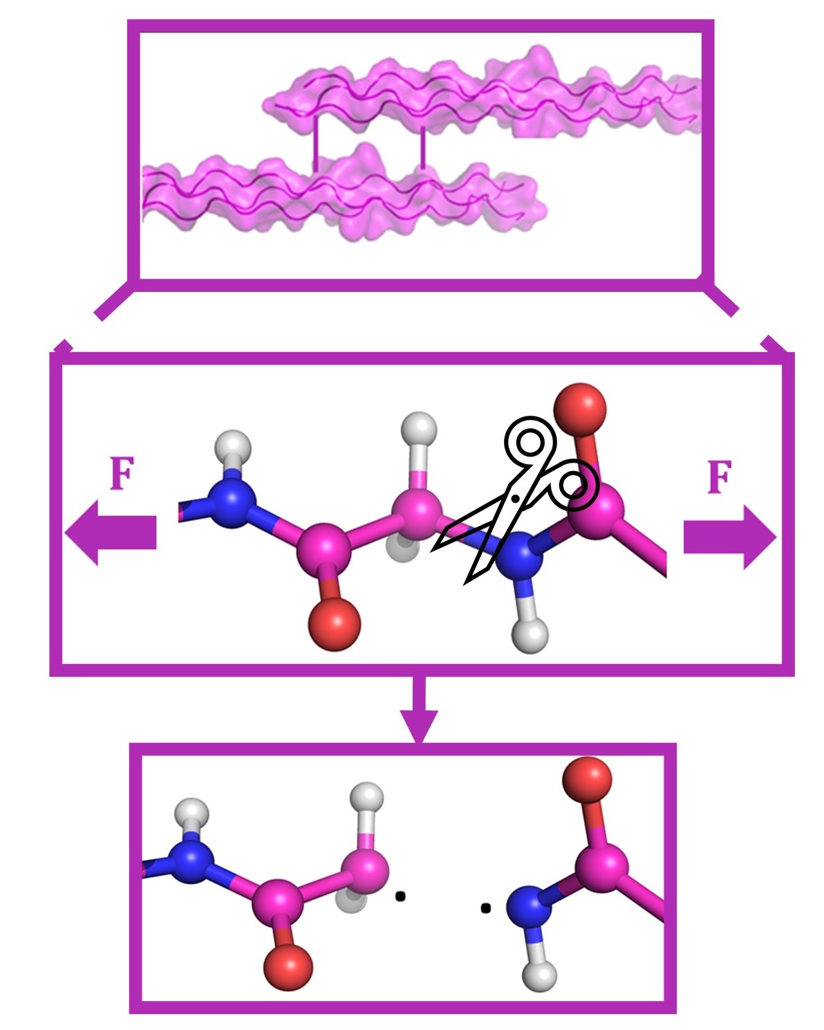 Project 8: Learning molecular bond rupture - HITS