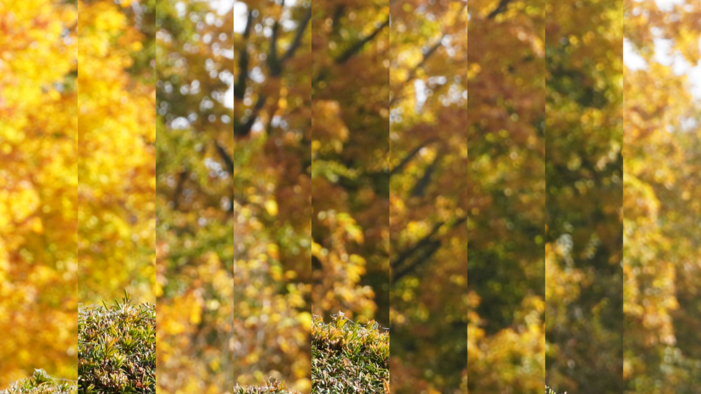 Issue 3 | 2023 - HITS