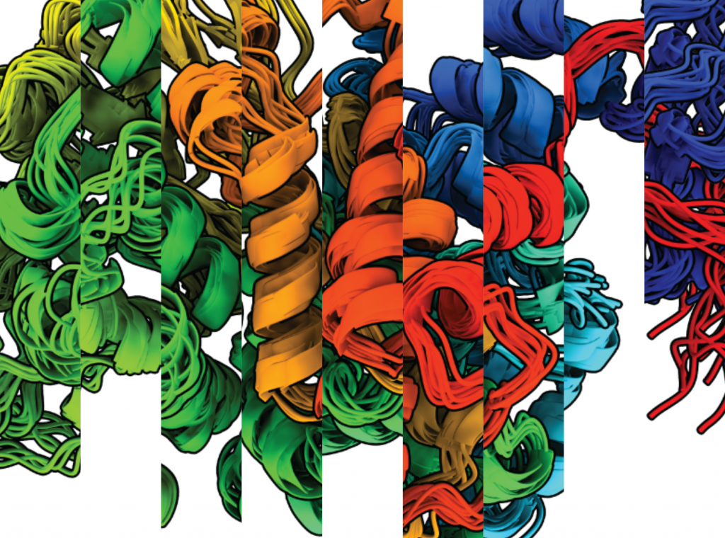 Predicting the Ever-Changing World of Protein Dynamics - HITS